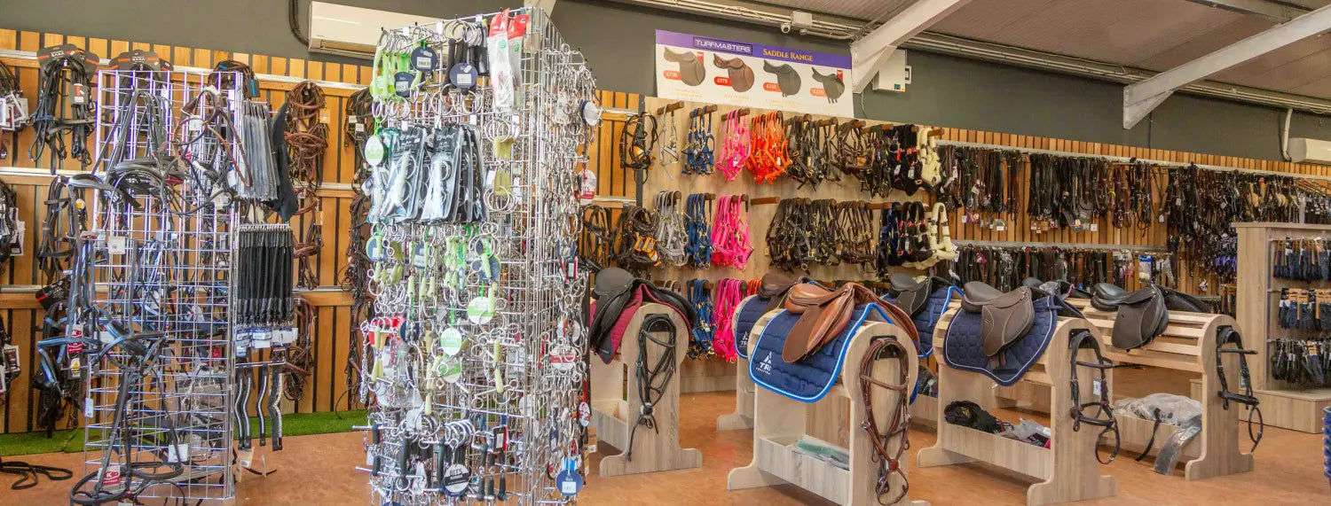 The Art of Properly Fitted Tack: Enhancing Equine Comfort and ...