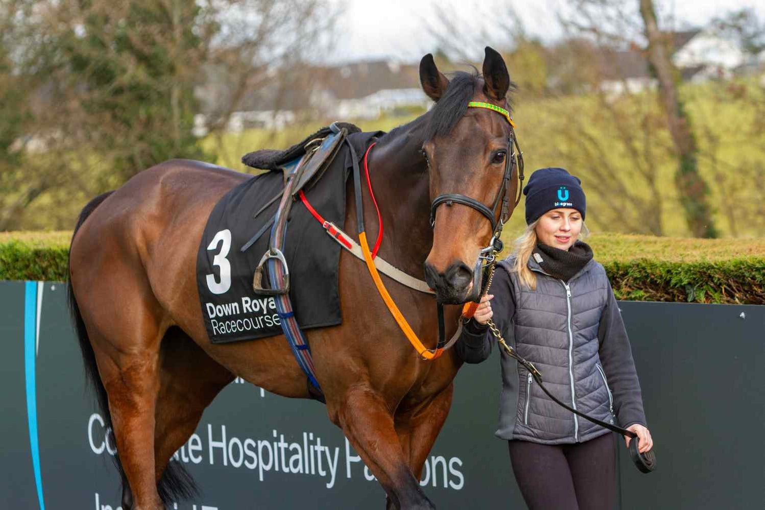 TRI Equestrian NI | Horse Riding Clothing & Saddlery
