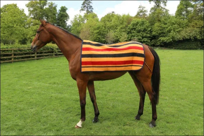 Breeze Up Wool Newmarket Exercise Sheet - Breeze Up - TRI Equestrian NI