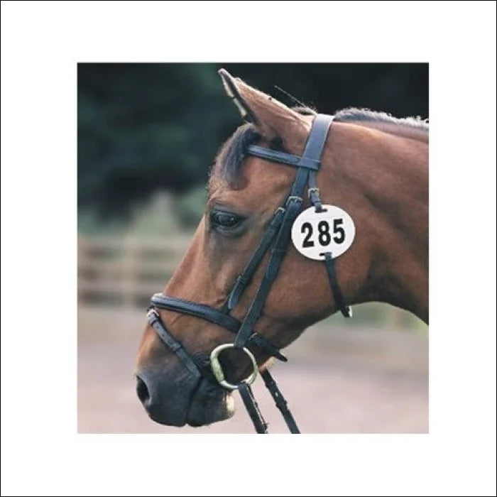 Equidisc Bridle Number Holder - TRIEquestrian - £18 - TRI Equestrian NI